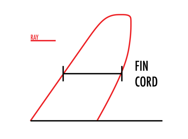SUP Fin Science 101 | BLACK PROJECT